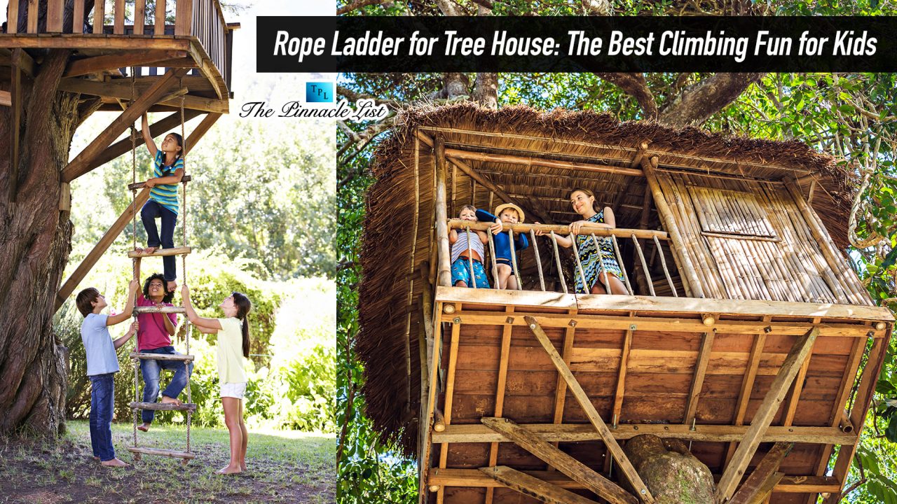 Rope Ladder for Tree House: The Best Climbing Fun for Kids – The ...