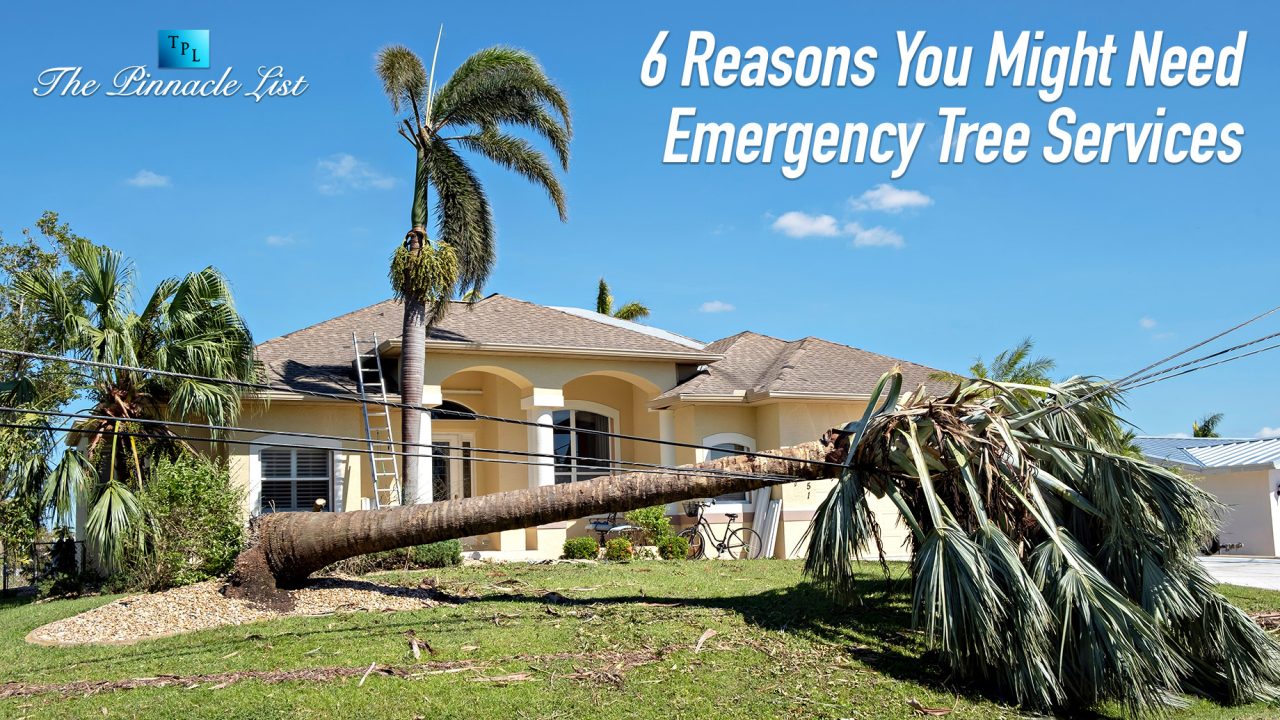 6 Reasons You Might Need Emergency Tree Services – The Pinnacle List