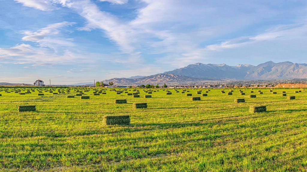 Farmland in Utah Valley – The Pinnacle List