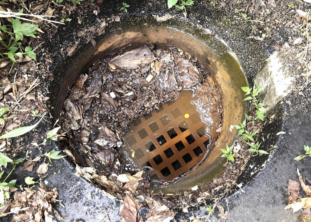 The Hidden Dangers of Ignoring a Blocked Drain – The Pinnacle List